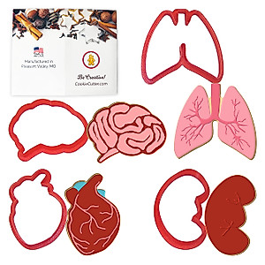 Anatomical Body Parts Cookie Cutter 4 Pc Set – Kidney, Heart, Lungs, Brain Plastic Cookie Cutters, Made in USA