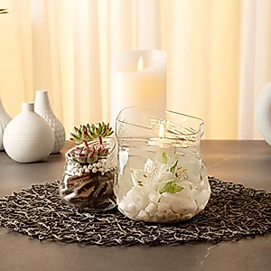 22 Ounce Glass Zipper Bag, 1 Large Glass Bag - Realistic Crinkled Edges, Serve Candy, Popcorn, or Nuts, Clear Glass Bag Bowl, Dishwasher-Safe, Flat Base - Restaurantware