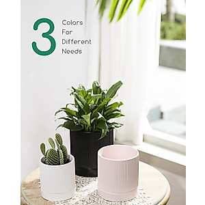 LaDoVita 3 Pack Ceramic Plant Pots 6/5/4 inch, Flowerpot for Indoor Plants with Drainage Holes and Tray, Outdoor Garden Planters, Modern Decorative for Home, White Vertical Stripes