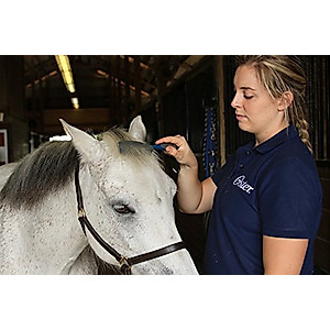 Oster Comb Mane & Tail Blue