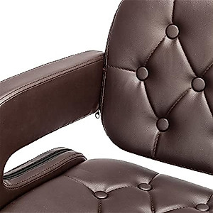 WSZJJ 2pcs Adjustable High Type with Disk armrest Square Backrest Button Design Bar Stools Spa Tattoo Facial Massage Salon Furniture