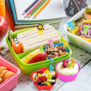 Piklodo 80Pcs Slicone Lunch Box Dividers, 60Pcs Silicone Dividers and 20Pcs Fruit Food Picks, Reusable Lunch Box Divider Inserts Multicolor Silicone Cupcake Liners Lunch Accessories