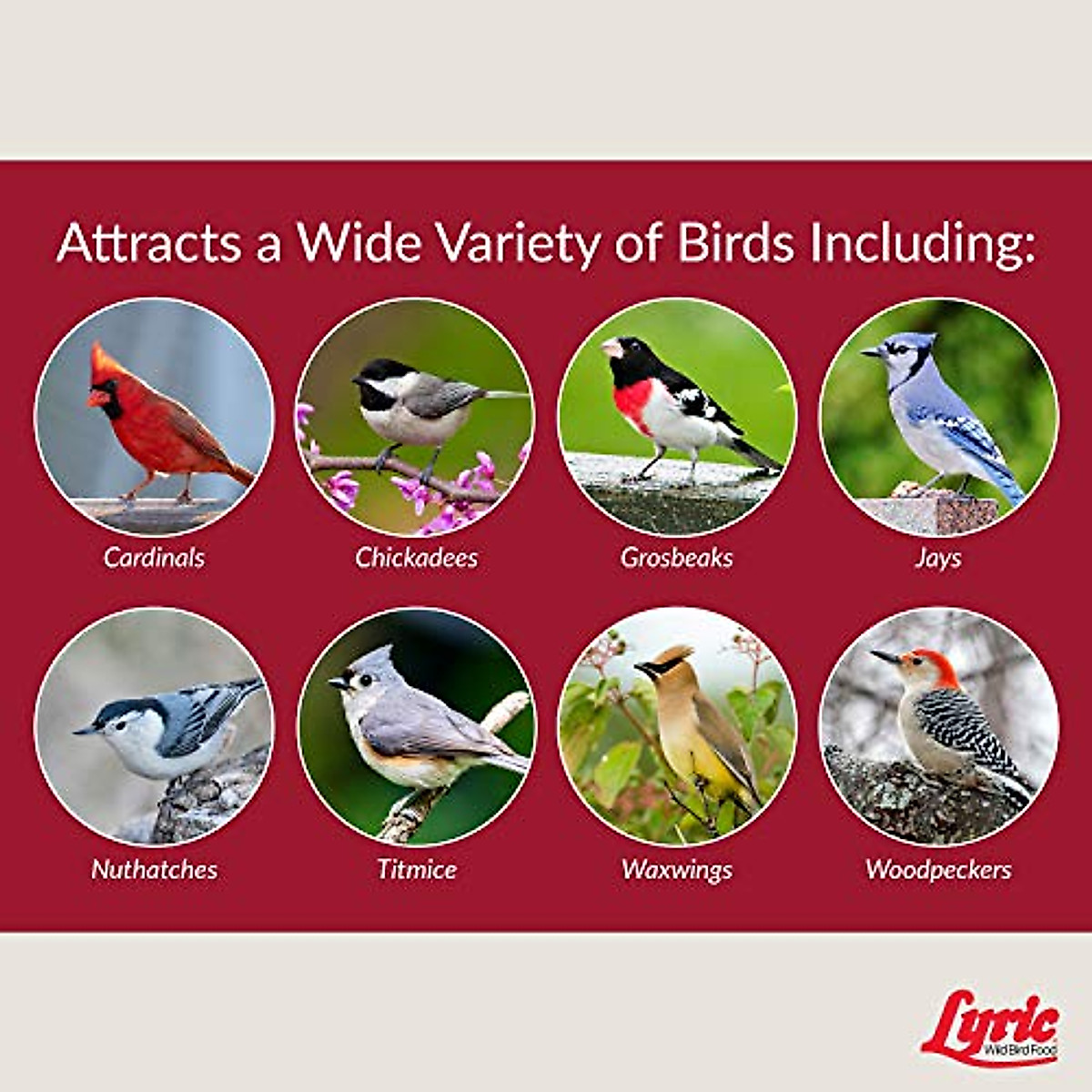 Lyric Fruit and Nut Wild Bird Seed - High Energy Wild Bird Food Mix - Attracts Woodpeckers, Chickadees & Other Songbirds - 20 lb bag