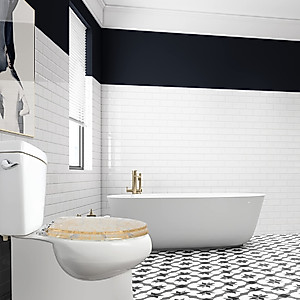 Resin Toilet Seat Elongated Soft Close Quick Release Heavy Duty Toilet Seats with Glitter Cover Acrylic Seats Gold Foil 19 Inch