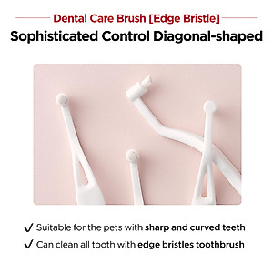 JAYU PET Dental Care Brush (Edge Bristles) 1ea - Micro Round Head Toothbrush for Cats & Small Dogs with End-tuft Diagonal-Shaped Bristles & Easy Grip Handle