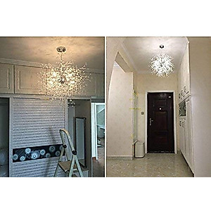 GDNS Dandelion Chandelier Firework Chandeliers LED Light Crystal Pendant Lighting Ceiling Light Fixtures Chandeliers Lighting,Dia 23.5 inch