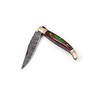 Damascus steel folding knife with leather sheath, 8.5 inches long laguiole pocket knife with 4 inches long Damascus steel Blade, 4.5 inches multi color wood scale with Brass bolster and pommel, Leather sheath included (Red Green)