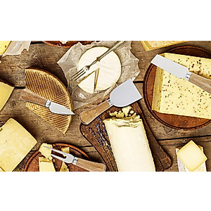 Guojanfon 6 Piece Cheese Knives Set with Wooden Handle, Mini Steel Stainless Cheese knife set for Charcuterie anCheese spread, Perfect for Cheese Slicer and Butter Cutter