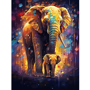 Bimkole 5D Diamond Painting Kits, Full Drill DIY Rhinestone Embroidery Set Paint with Diamonds Art by Number Kits Cross Stitch Home Wall Craft Decoration (12x16 inch)#b1581