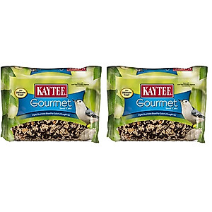 Kaytee Wild Bird Gourmet Seed Cake for Cardinals, Chickadees, Juncos, Titmice, Woodpeckers and More, 2 Pounds (Pack of 2)