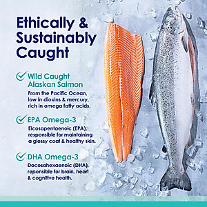 Omega 3 Fish Oil for Small Dogs & Cats - Pet Fish Oil Supplement with DHA & EPA Fatty Acids for Healthy Skin and Coat - Improves Shedding & Relieves Dry, Itchy Skin - 500mg - 120 Capsules