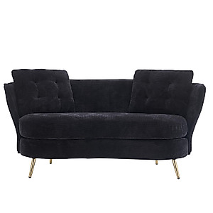 Holaki 64.20"Modern Loveseat Sofa for Living Room,Comfy Upholstered Sofa Couch with Golden Metal Legs & 2 Pillows,Velvet Fabric Sofa Chair with Solid Wood Frame for Apartment Office Small Space(Black)