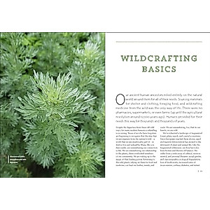 Northeast Medicinal Plants: Identify, Harvest, and Use 111 Wild Herbs for Health and Wellness (Medicinal Plants Series)