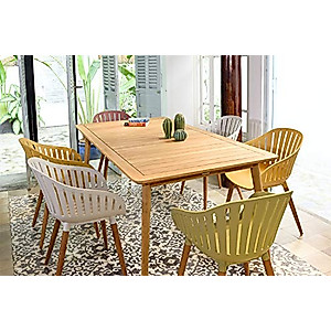 Armen Living Nassau Outdoor Patio Arm Dining Chairs, 17" Seat Height, Set of 2, Eucalyptus and Sand Taupe