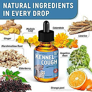 Dog Cough - Kennel Cough - Dog Allergy Relief - Supplements For Dogs & Cats Health - Allergy Relief Immune Supplement for Dogs - for Dry, Wet & Barkly Pet Cough - Suitable For All Sizes