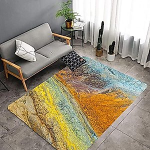 Marble Kitchen Rug Rug 3 ' x 5 ' Area Rugs Rugs Kitchen Rugs Non Skid Accent Area Carpet, Non-Slip Fur Rugs Nursery Accent Floor Carpet