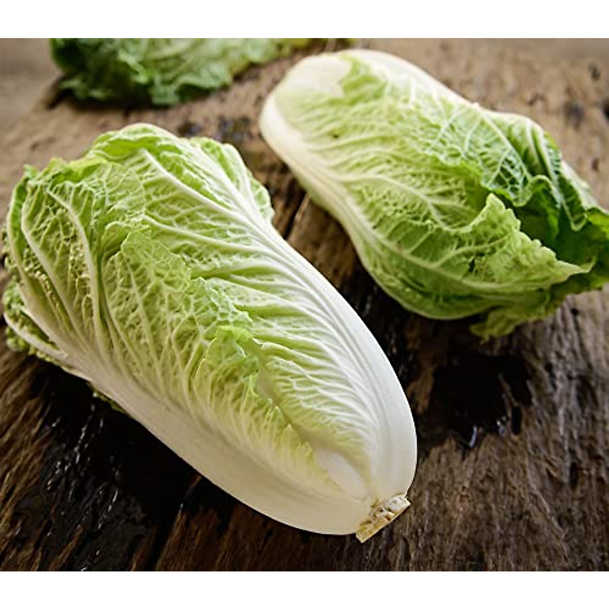 Gaea's Blessing Seeds - Chinese Cabbage Seeds - Michihili Heirloom - Non-GMO Seeds with Easy to Follow Planting Instructions - Open-Pollinated High Yield Heirloom 94% Germination Rate