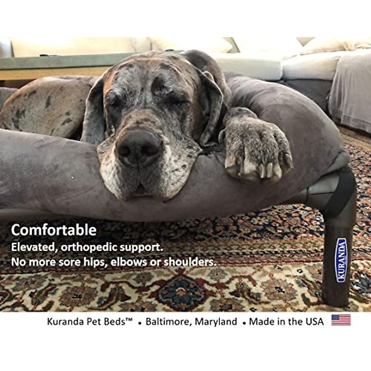 Kuranda Elevated Indoor Bed - Walnut PVC - X-Large - 44" x 27" - Cordura - Burgundy