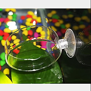 KKONHII Aquarium Shrimp Feeder Dish with Suction Glass Fish Tank Feeding Bowls Round Clear Dishes Tray,Pet Water Tray Feeding Cup,Glass Reptile Feeding Bowl(6 Pieces) .