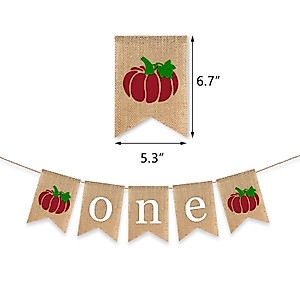 Gankbite Burgundy Pumpkin Fall 1st Birthday Party Girl One Cake Smash Burlap Banner Paper Tassel Balloon Fall Birthday Decorations