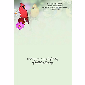Crown Point Graphics Shared Blessings Birthday Birds 12 Boxed Birthday Cards, Beautiful Birds with KJV Scripture, Art by William Vanderdasson