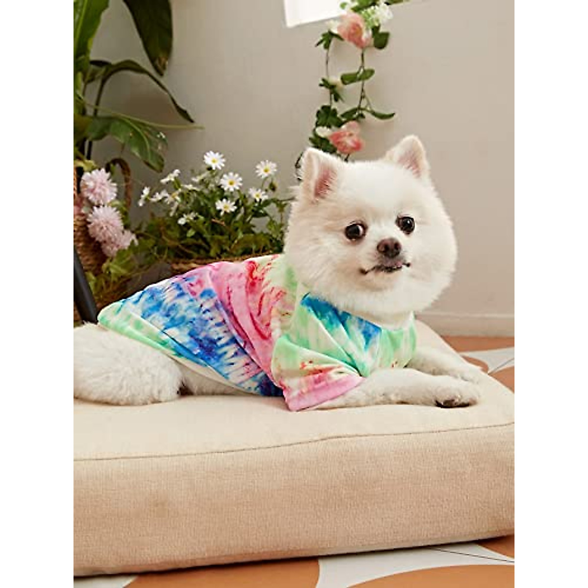 QWINEE Tie Dye Dog T Shirt Vest Dog Apparel Cat Clothes for Puppy Kitten Small Medium Large Dogs Multicolor Large