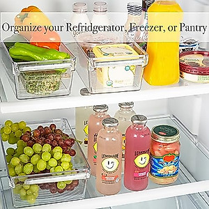 Kitchen Details 2 Pack Medium Refrigerator Storage Bin | Fridge & Freezer | Kitchen Organization | Stainless Steel Handle | Countertop | Cabinets | Pantry | Clear