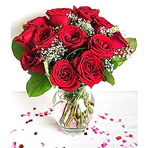 From You Flowers - One Dozen Long Stemmed Red Roses with Free Vase (Fresh Flowers) Birthday, Anniversary, Get Well, Sympathy, Congratulations
