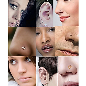 Tornito 20G 16Pcs Stainless Steel L Shaped Nose Ring CZ Nose Stud Retainer Labret Nose Piercing Jewelry (A1:16Pcs)