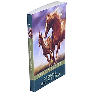 Stormy, Misty's Foal