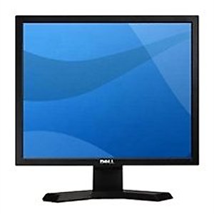 Dell 19 Inch LCD Monitor F779N E190Sb