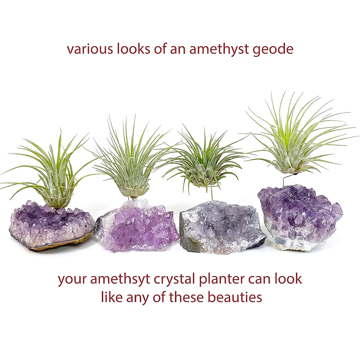 Small Amethyst Crystal Air Plant Holder Includes live Air Plant and Happy Birthday Gift Box