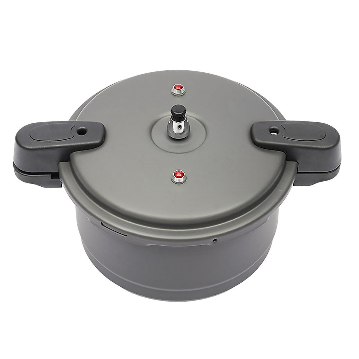 9.5/23 Quart Pressure Canner and Cooker,Aluminum Canning Pressure Cooker with Spring Valve Safeguard Devices,Compatible with Gas & Induction Cooker (9.5Qt)