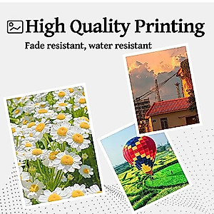 CE340A CE341A CE342A CE343A Toner Cartridge Replacement High Yield Compatible for HP Color Laserjet Enterprise 700 Color M775dn M775f M775z M775z+ Printers Cyan