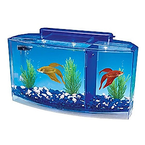 PENN-PLAX Deluxe Triple Betta Bow Tank Kit – Safely Divided Compartments – White and Blue LED Display Lights – Includes Under Gravel Filter & Plastic Plants – 0.7 Gallon in Blue