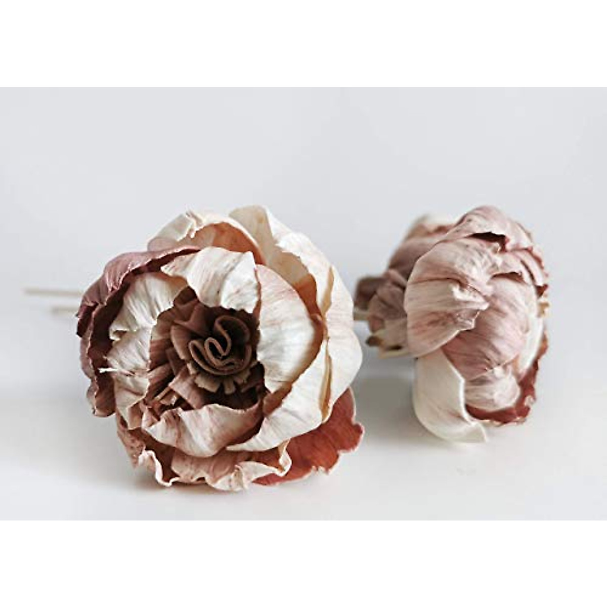 10 Rare Natural Pink Peony 1.5" Sola Flower Reed Diffuser for Home Fragrance Oil by Plawanature.