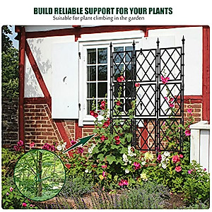 WellSign Garden Trellis for Climbing Plants Outdoor and Indoor 63inch, Sturdy Rustproof Coated Metal Support Fence Climbing Frame with 20 Reusable Ties for Ivy Vines Vegetable Flower 1Pack
