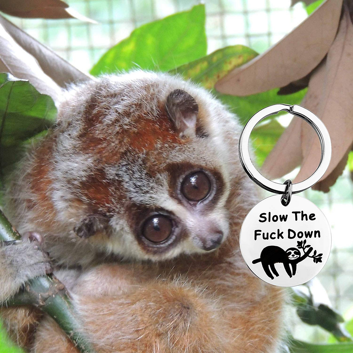 BLEOUK Funny Sloth Gift Cute Animal Sloth Quote Keychain Slow The Fuck Down Sloth Lover Gift