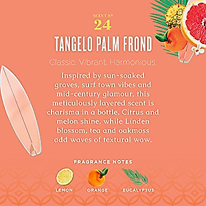 Caldrea Dish Soap, Biodegradable Dishwashing Liquid made With Soap Bark And Aloe Vera, Tangelo Palm Frond Scent, 16 Oz