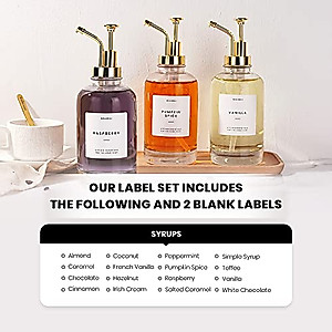 Molimoli Coffee Syrup Dispenser for Coffee Bar, Coffee Pump Dispenser, Glass Syrup Bottle w. Pumps and Labels, 16.9 oz 500 ml, Set of 2, Gold