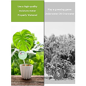 Raintrip Soil Moisture Meter,Moisture Meter for Plants，Plant Water Meter,Great for Garden, Lawn, Farm, Indoor & Outdoor Use (No Battery Required)