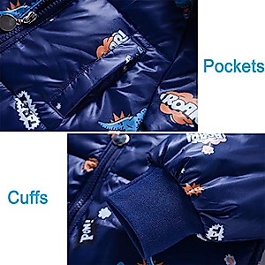 2 Piece Boys Winter Snowsuit, Kids Clothing Sets Girls Hooded Duck Down Jacket + Snow Bib Ski Pants Dinosaur Blue 4-5 Years