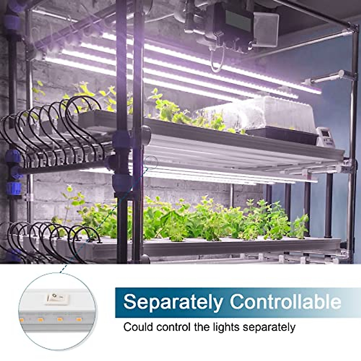 Barrina Grow Lights for Indoor Plants, Full Spectrum Sunlight, 2ft 40W (4 x 10W, 250W Equivalent), LED Bulbs, T5 Grow Lights, Plug and Play, Pinkish White, 4-Pack
