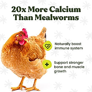 Forager's Feed Black Soldier Fly Larvae - Chicken Treat with Calming Flowers for Chicken and Livestock, 2 Lbs. Resealable Bag