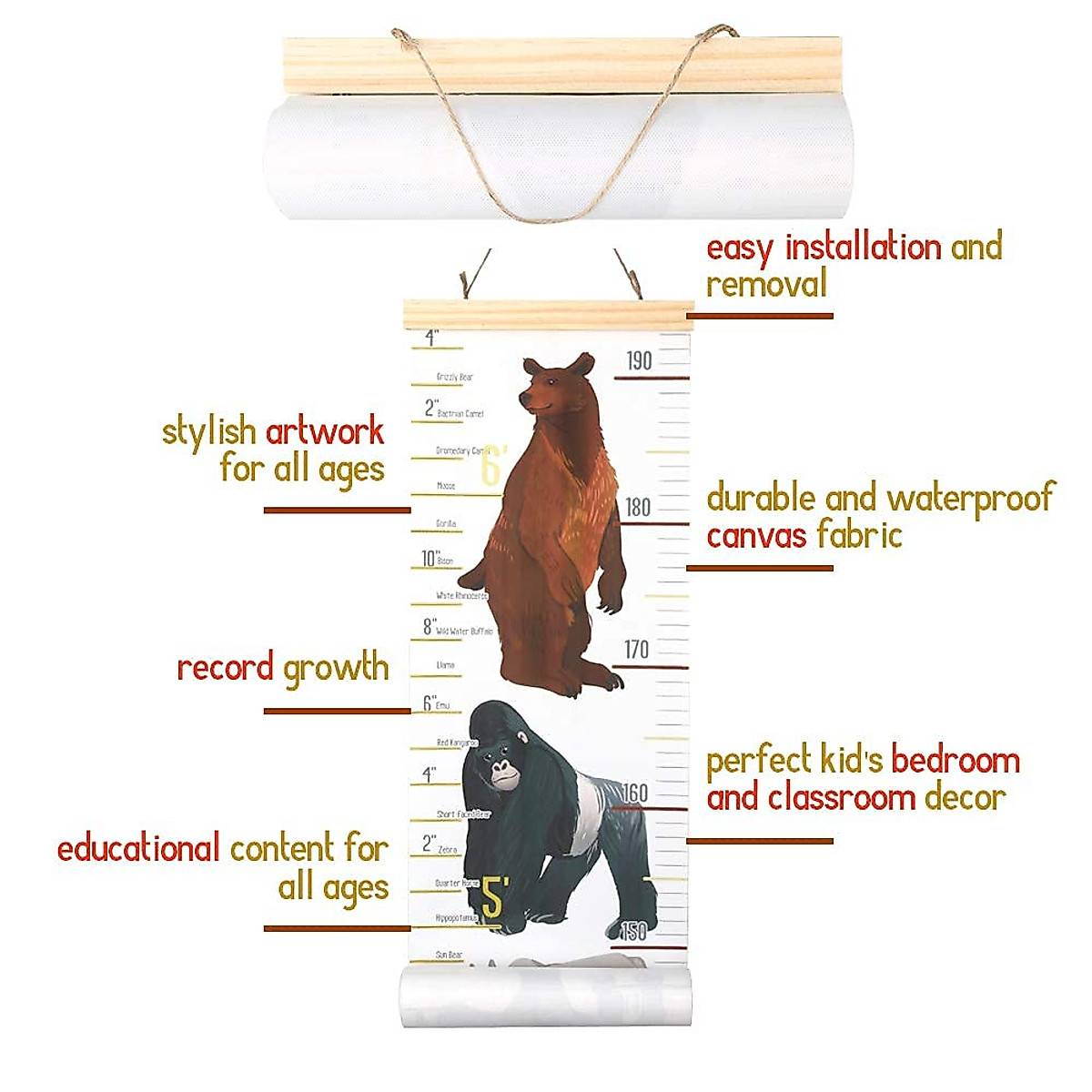 Decu Educational Height Chart Animal-Comparison Hanging Growth Chart for Kids' Bedroom Decor