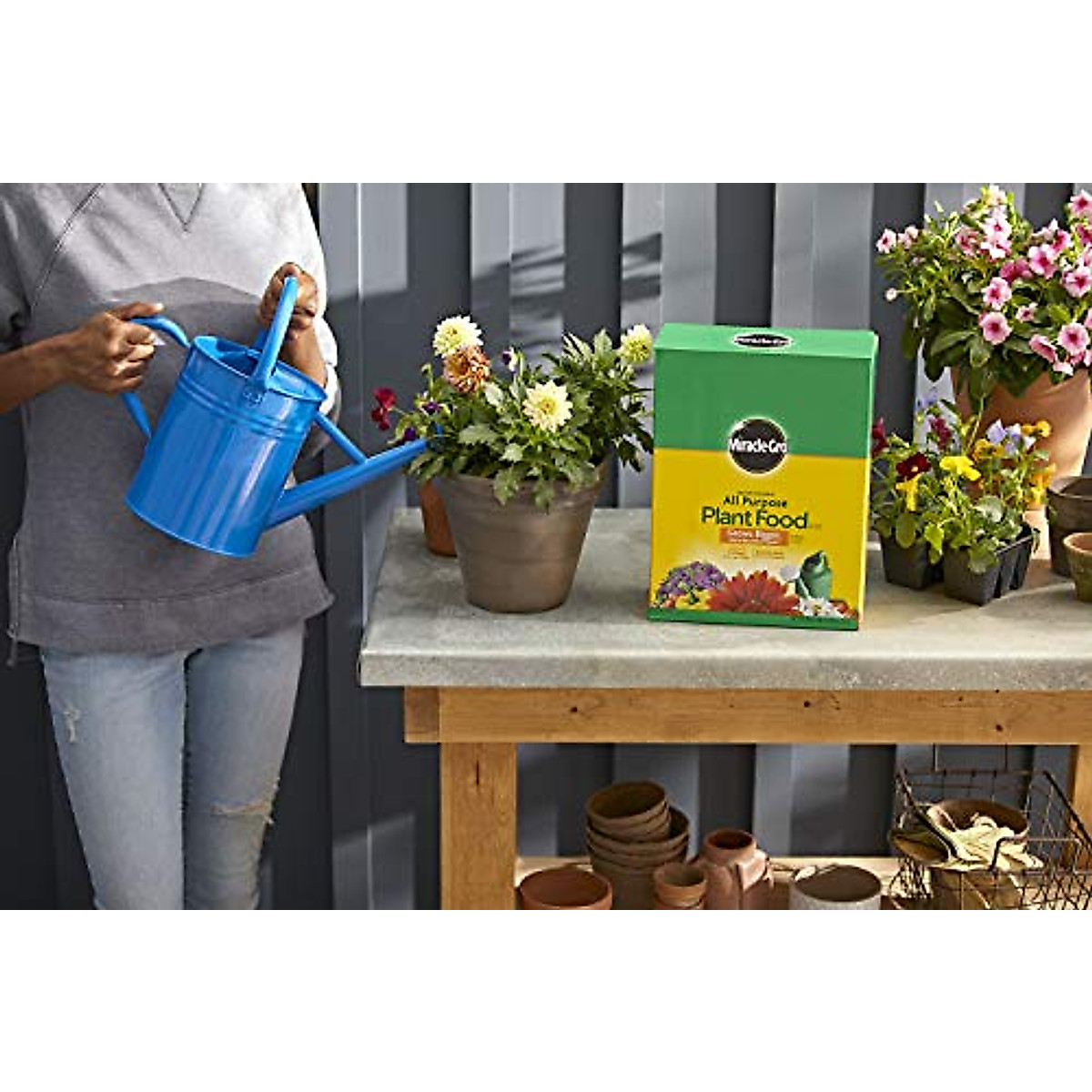 Miracle-Gro Water Soluble All Purpose Plant Food, 4-pack