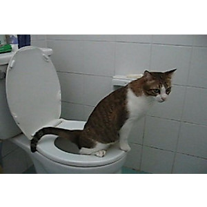 CitiKitty Cat Toilet Training Kit (One Pack)