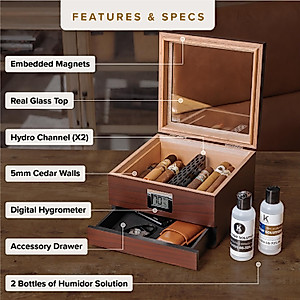 CASE ELEGANCE Glass Top Humidor with Thick Cedar, Easy humidification System, Accurate Digital Hygrometer - Renzo, Brown