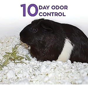 carefresh 99% Dust-Free White Natural Paper Small Pet Bedding with Odor Control, 10L, White