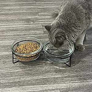 Double Glass Raised Cat or Small Dog Bowls with Metal Stand for Pet Food and Water Dishes , 20 Ounces
